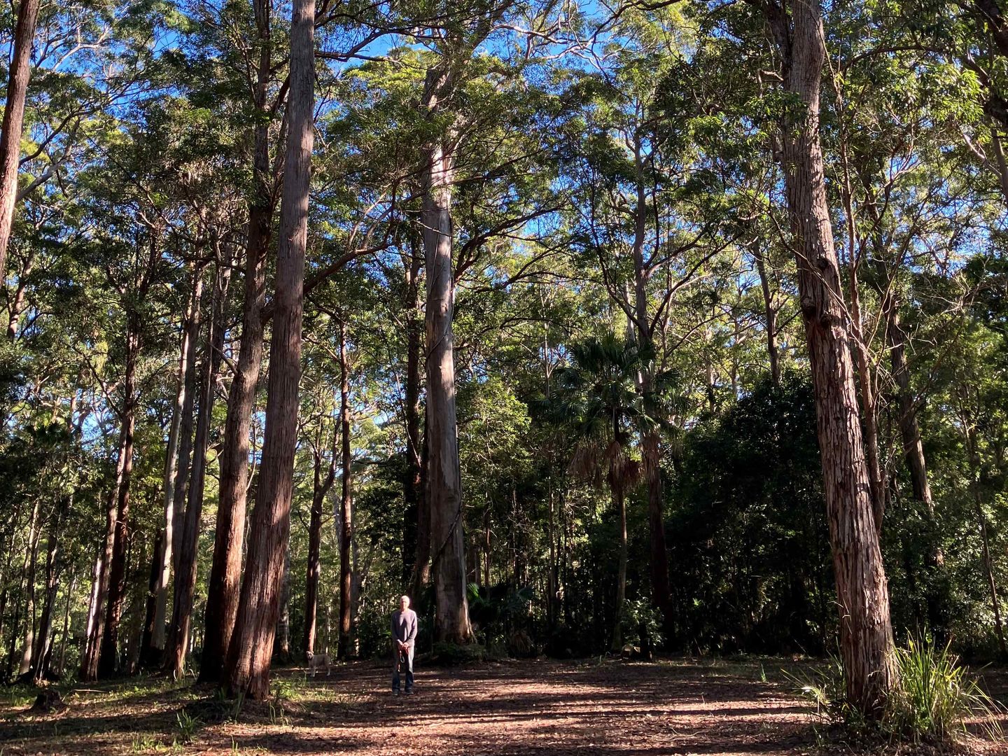 Tarbuck Bay NSW 2428 vacant land for Sale, $1,470,000 - 2019681782 | Domain