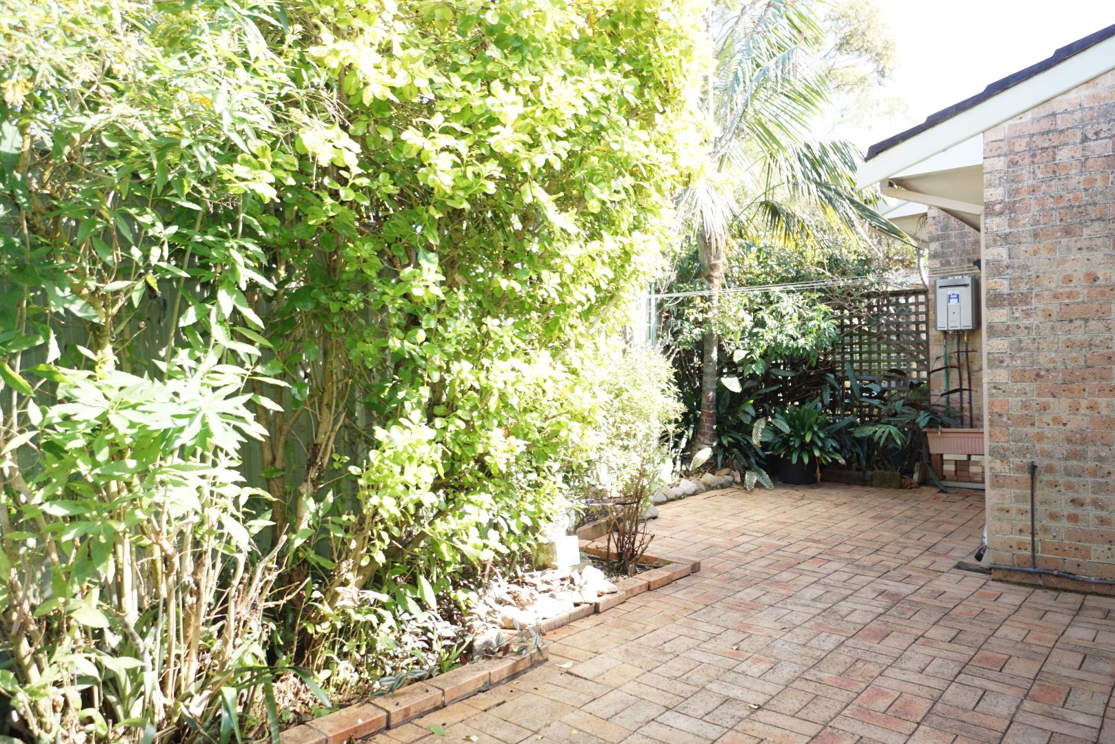 2/61 Wyralla Avenue, Epping NSW 2121 - Villa For Rent | Domain