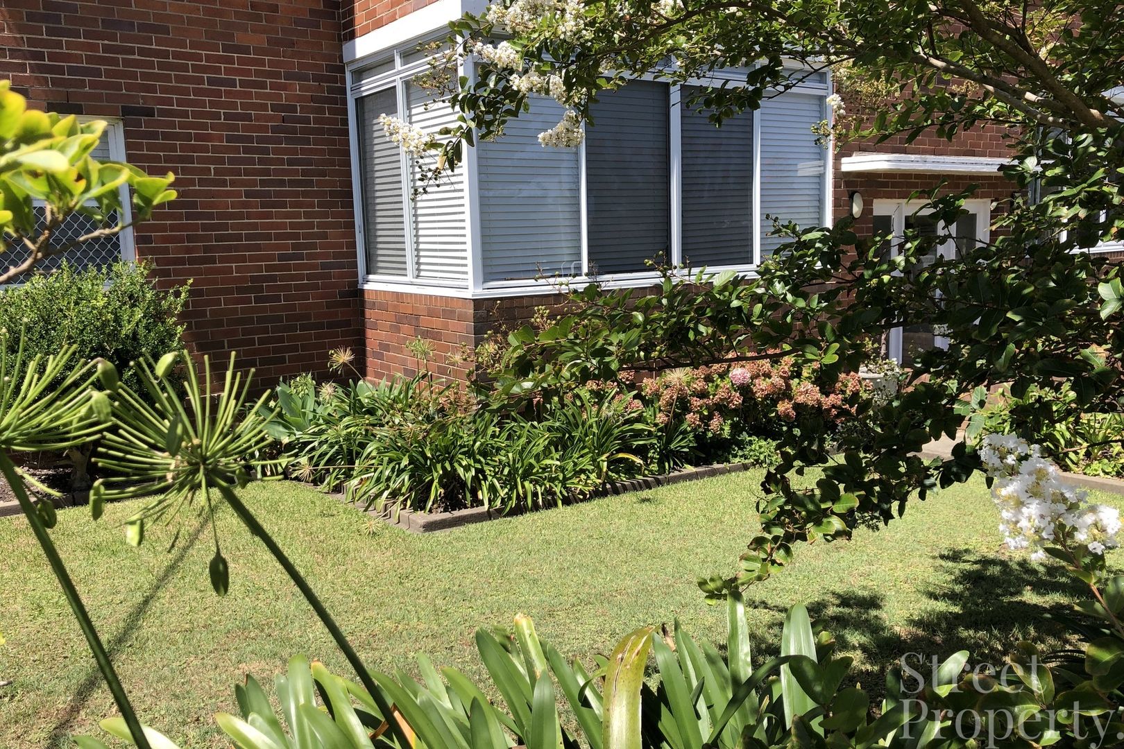 1/76 Parkway Avenue, Cooks Hill NSW 2300 - Apartment For Rent | Domain