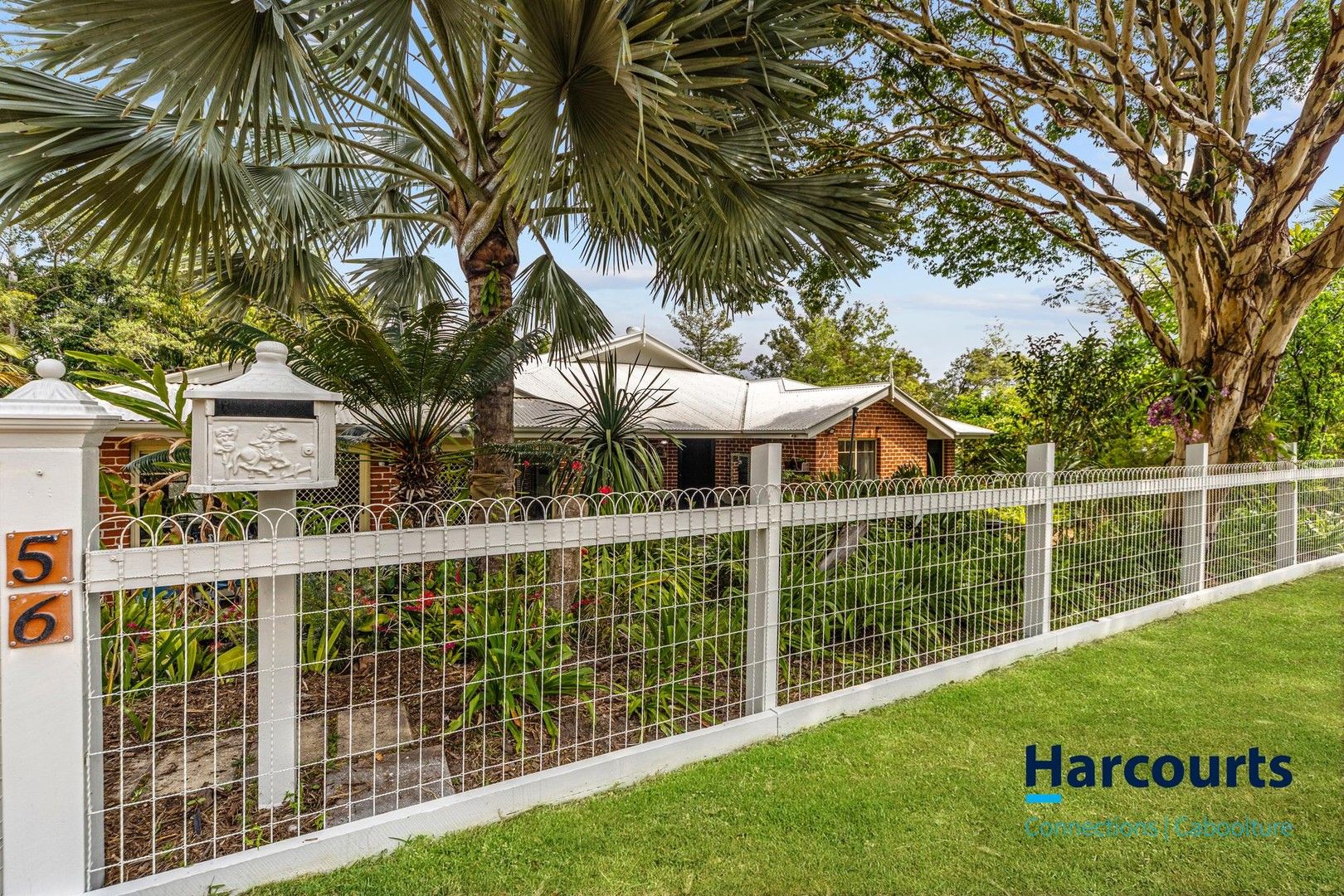56 Fin Court, Elimbah QLD 4516 | Domain