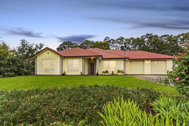 241 Real Estate Properties for Sale in Mount Barker, SA, 5251 | Domain