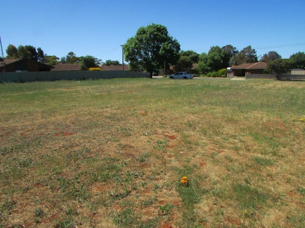 9 Ray Court, Donald VIC 3480 | Domain