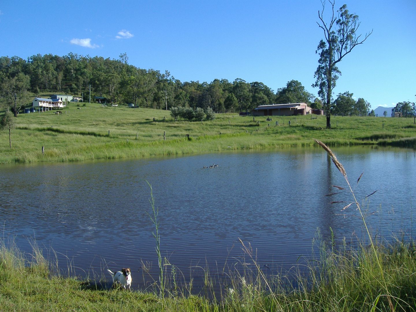 2350 Tarome Road, Moorang | Property History & Address Research | Domain
