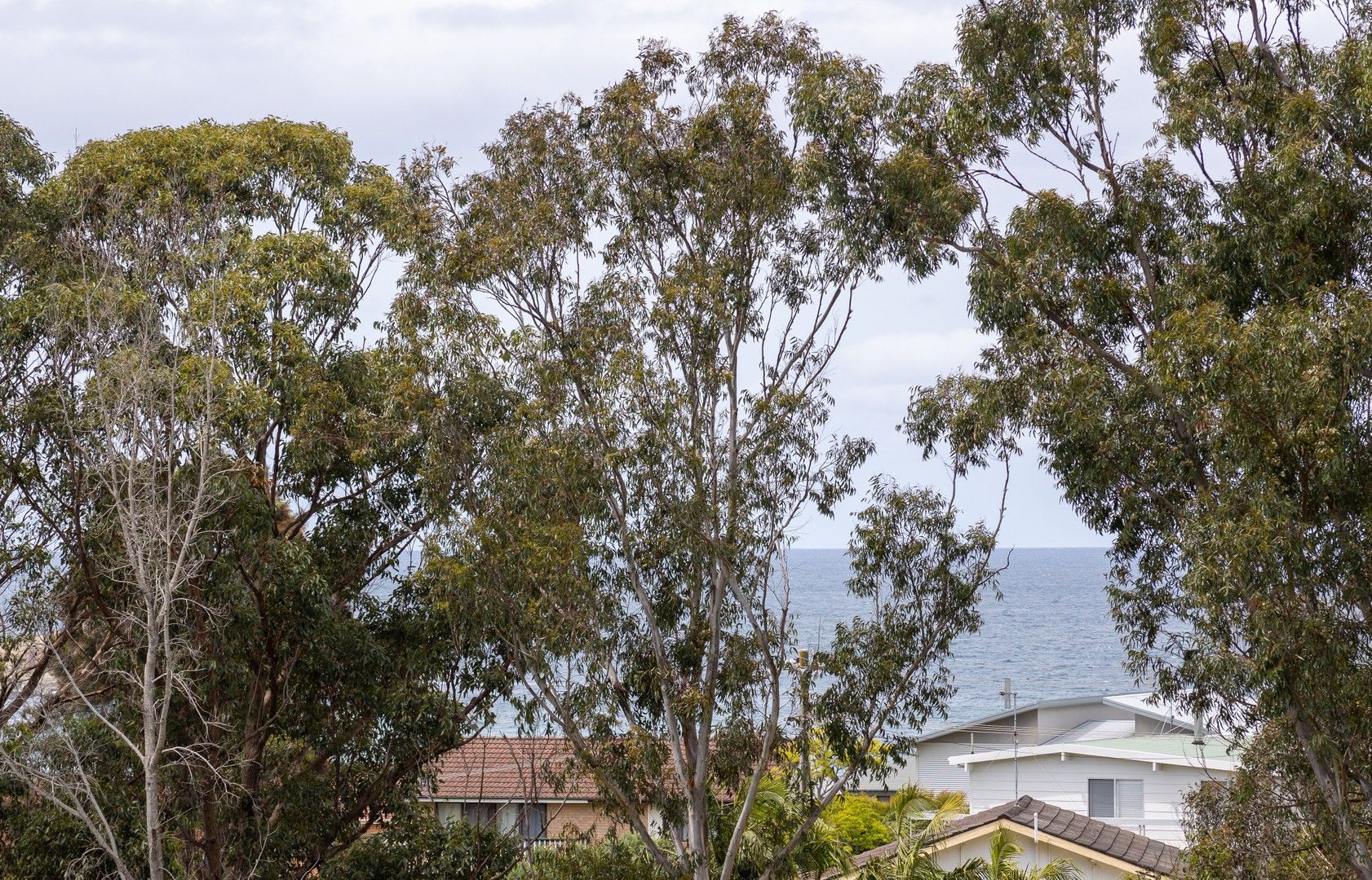 13 Mimosa Place, Malua Bay NSW 2536 | Domain