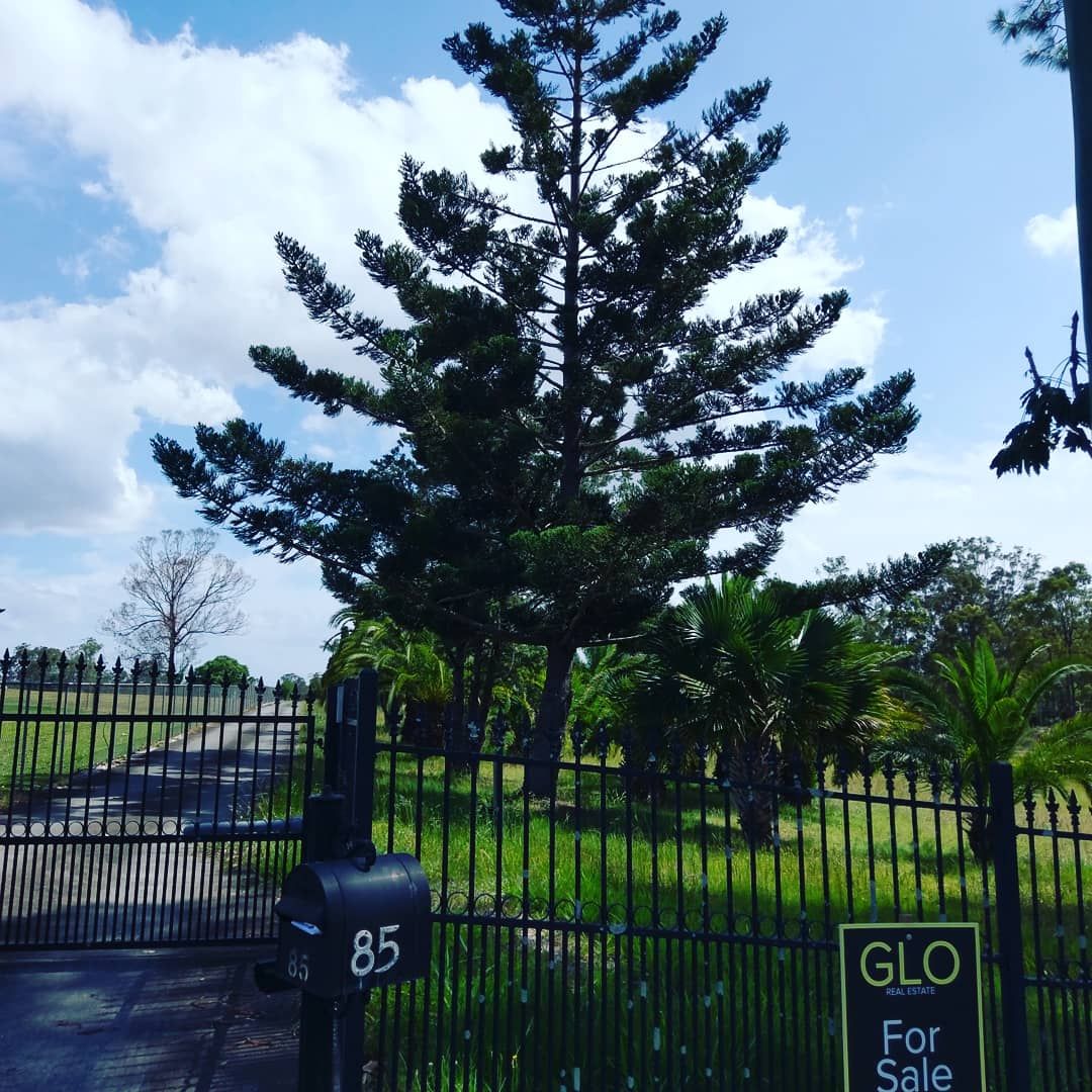 85-91 Rosia Road, Park Ridge South | Property History & Address ...