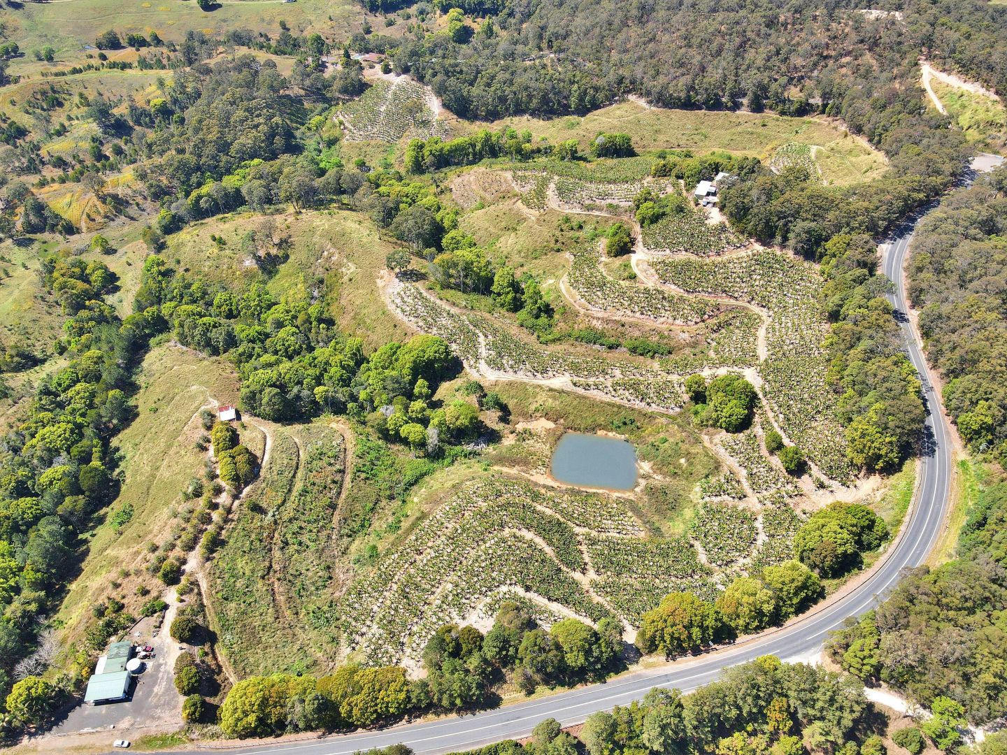 7272 Tweed Valley Way, Fernvale NSW 2484 - Specialist Farm for Sale ...