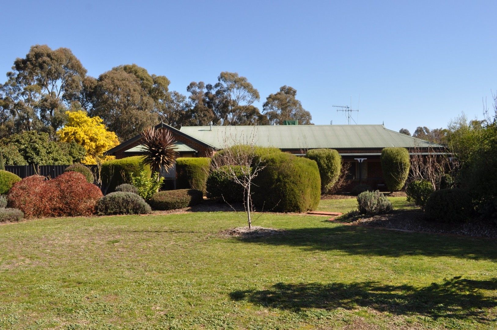 6 Conboy Court, Ascot VIC 3551 | Domain