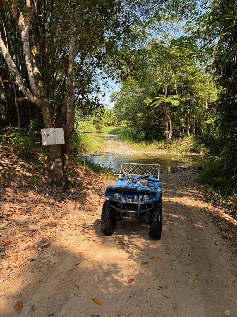 252 Jackson Road, Shell Pocket QLD 4855 - House for Sale - $1,200,000