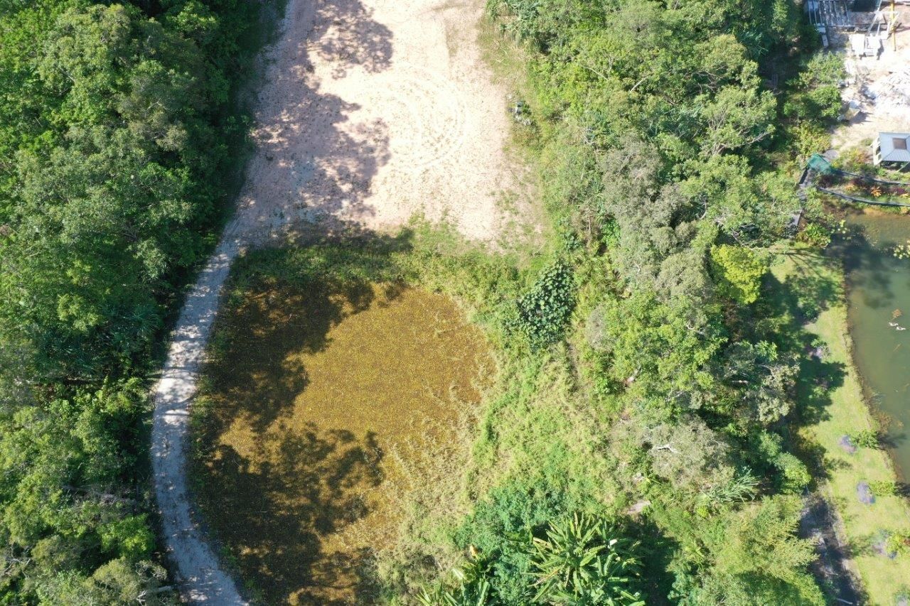 746 East Feluga Road, East Feluga QLD 4854 | Domain