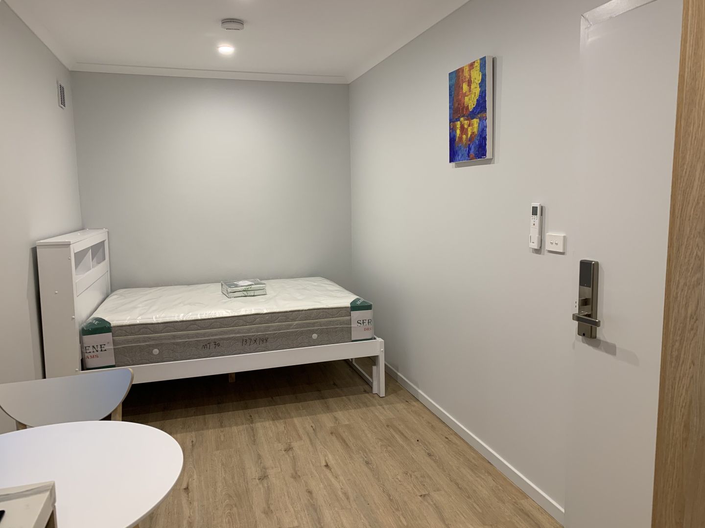 5/53 Ebley St, Bondi Junction NSW 2022 - Studio For Rent - $430 | Domain