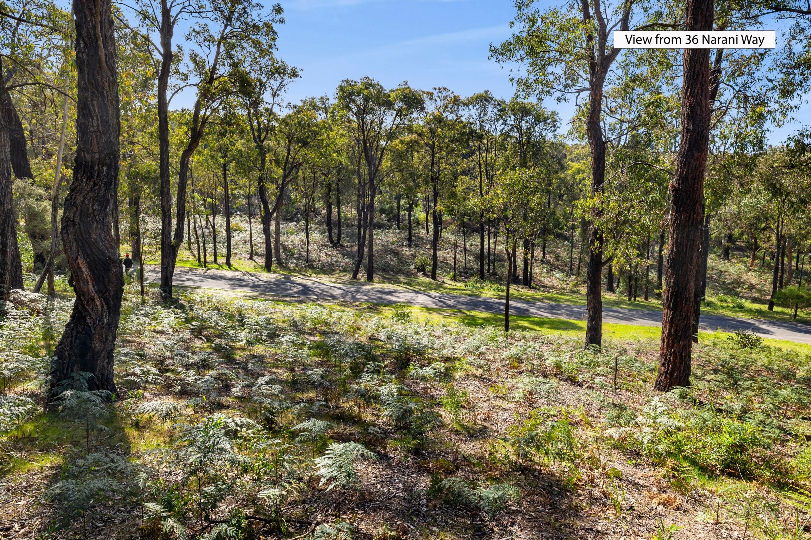 36 Narani Way, Fairhaven VIC 3231 | Domain
