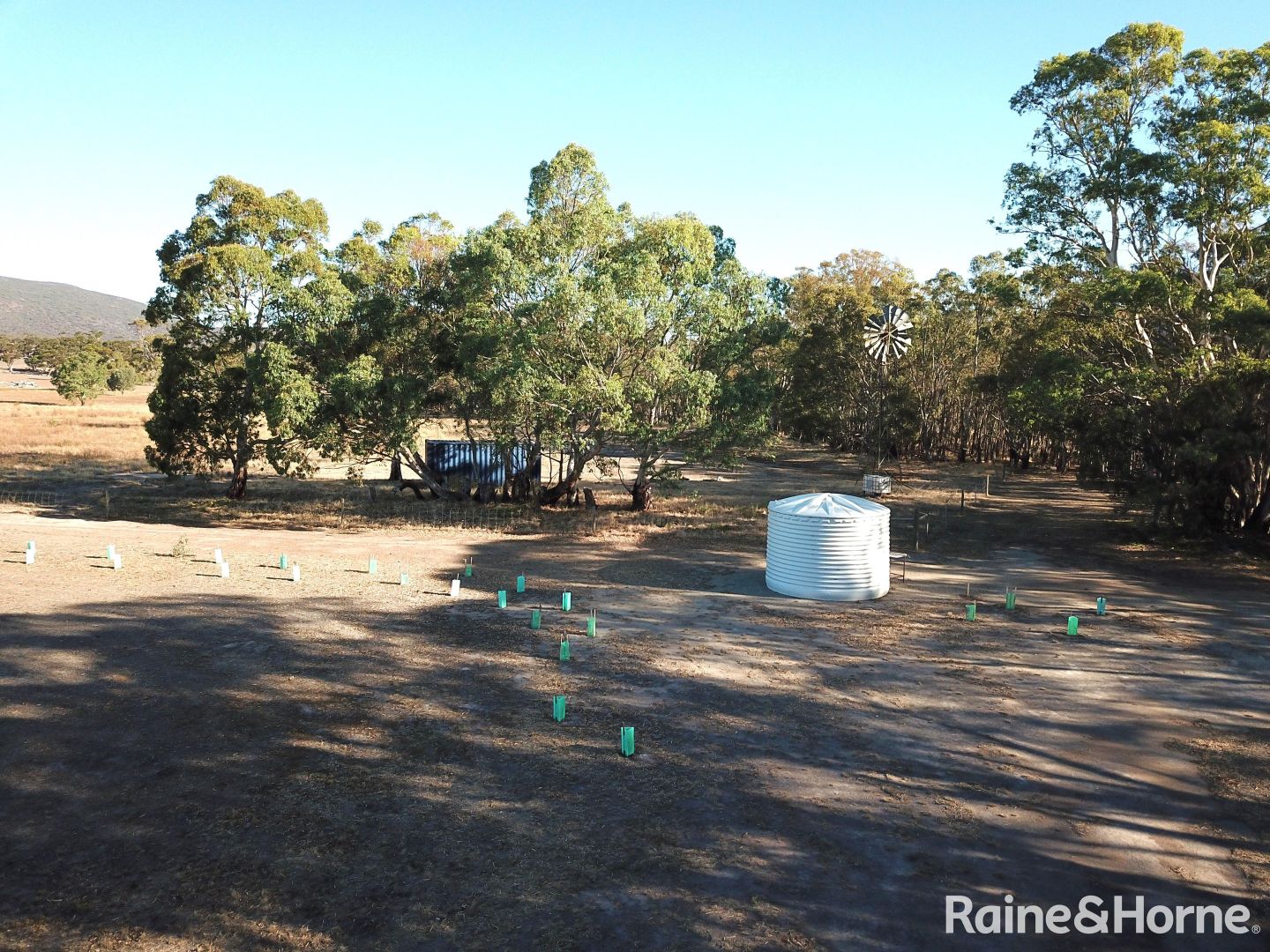Lot 106 Wallace Court, Coulta SA 5607 | Domain