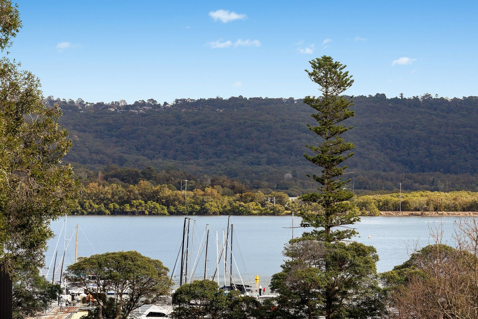 105/142 Albany Street, Point Frederick NSW 2250 | Domain