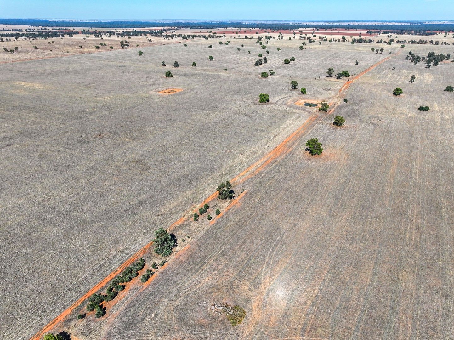 Shannonvale & Elmore Strontian Road, Boree Creek NSW 2652 - Farm for Sale