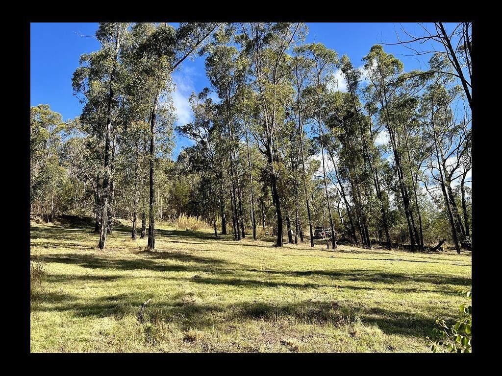 50 51/41 Bega Street, Cobargo NSW 2550 | Domain