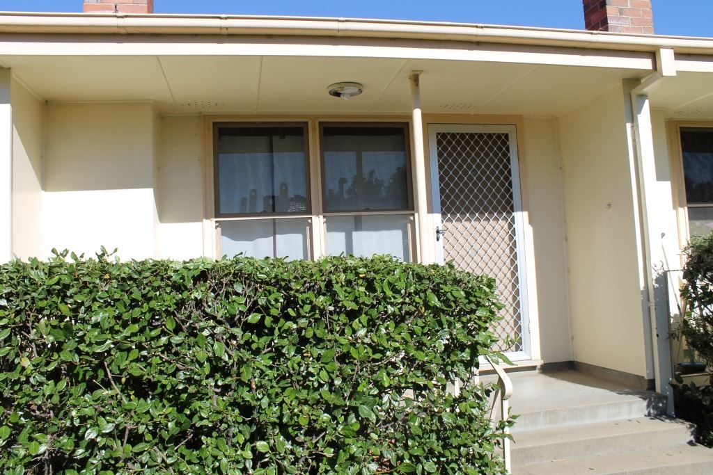 9/6-8 WARIALDA, Inverell NSW 2360 - Studio For Rent - $200 | Domain