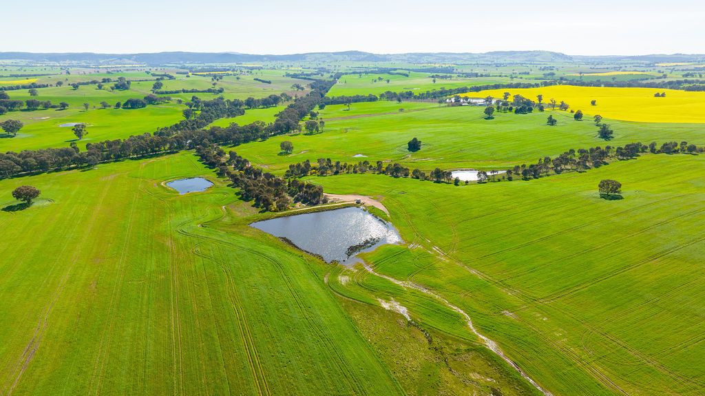 22 Cookardinia Road, Pulletop | Property History & Address Research ...