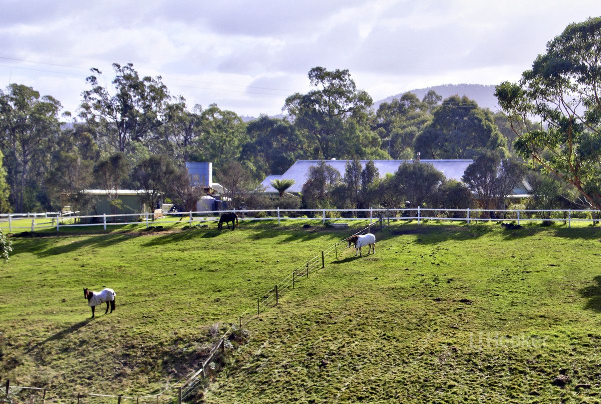 19 Gully Road, Nowa Nowa VIC 3887 - House for Sale - $895,000