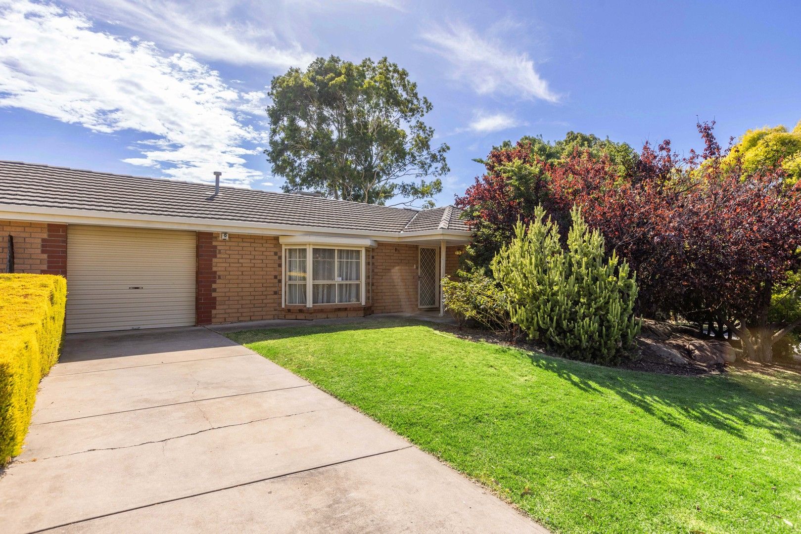 1/3 Calomba Crescent, Happy Valley SA 5159 - House For Rent - $500 | Domain