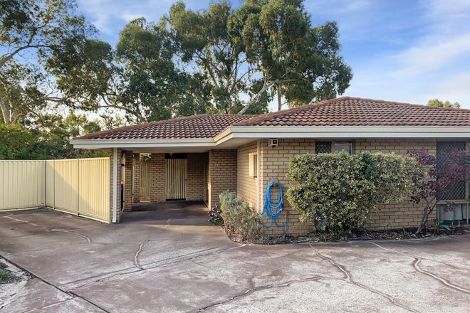 374 Real Estate Properties for Sale in Shelley, WA, 6148 | Domain