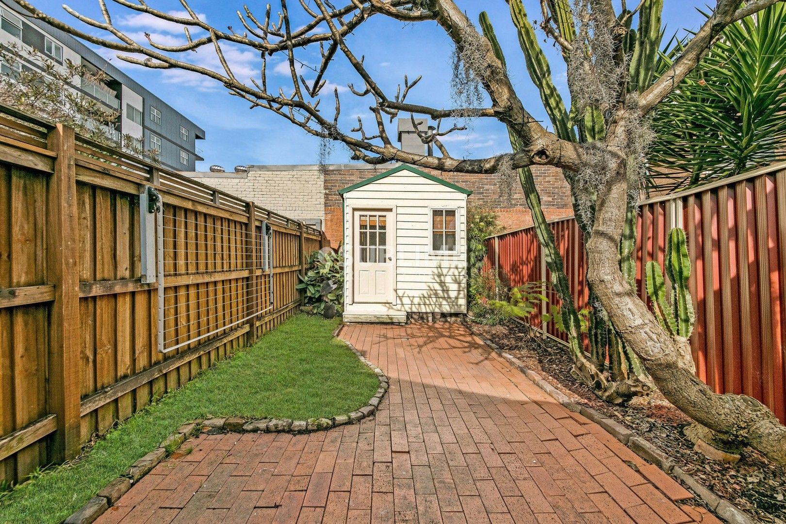 64 May Street, St Peters NSW 2044 - Terrace For Rent | Domain
