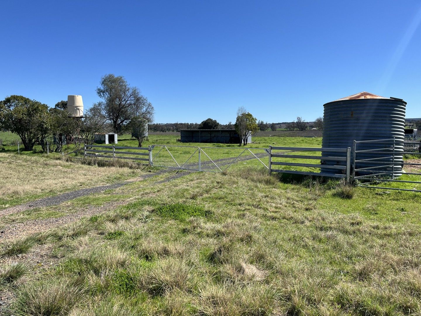 "Piambra" 714 Piambra Road, Binnaway NSW 2395 - House for Sale - $1,198,000