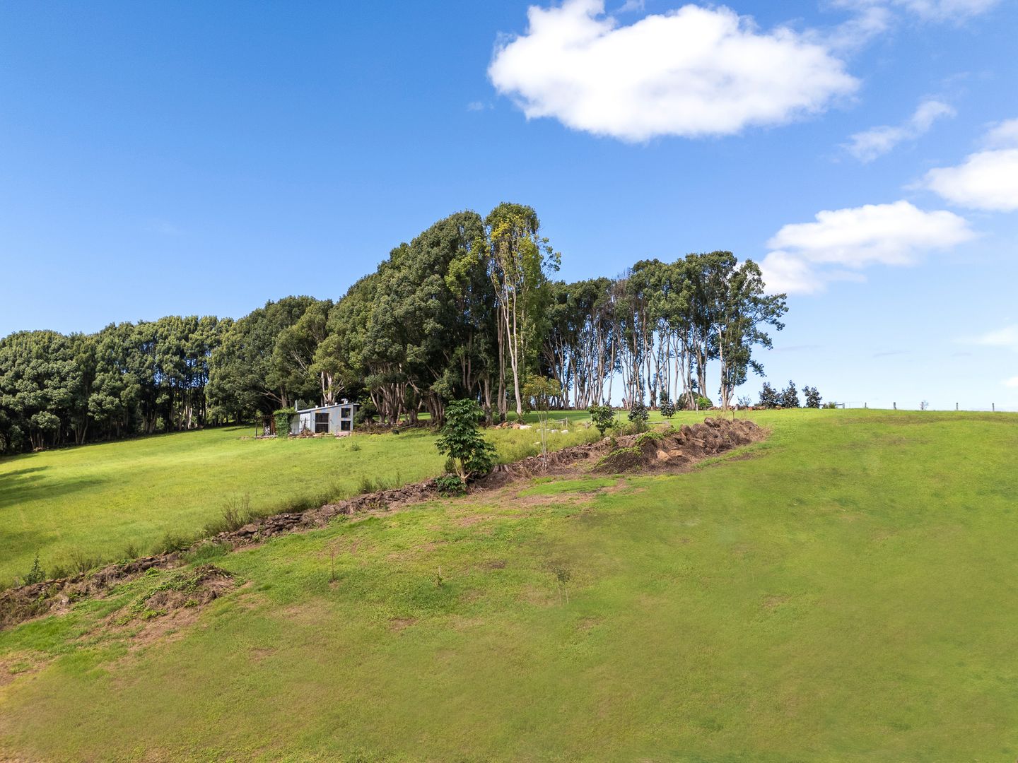 Sold 637 Booyong Road, Booyong NSW 2480 on 20 May 2025 - 2019910498 ...