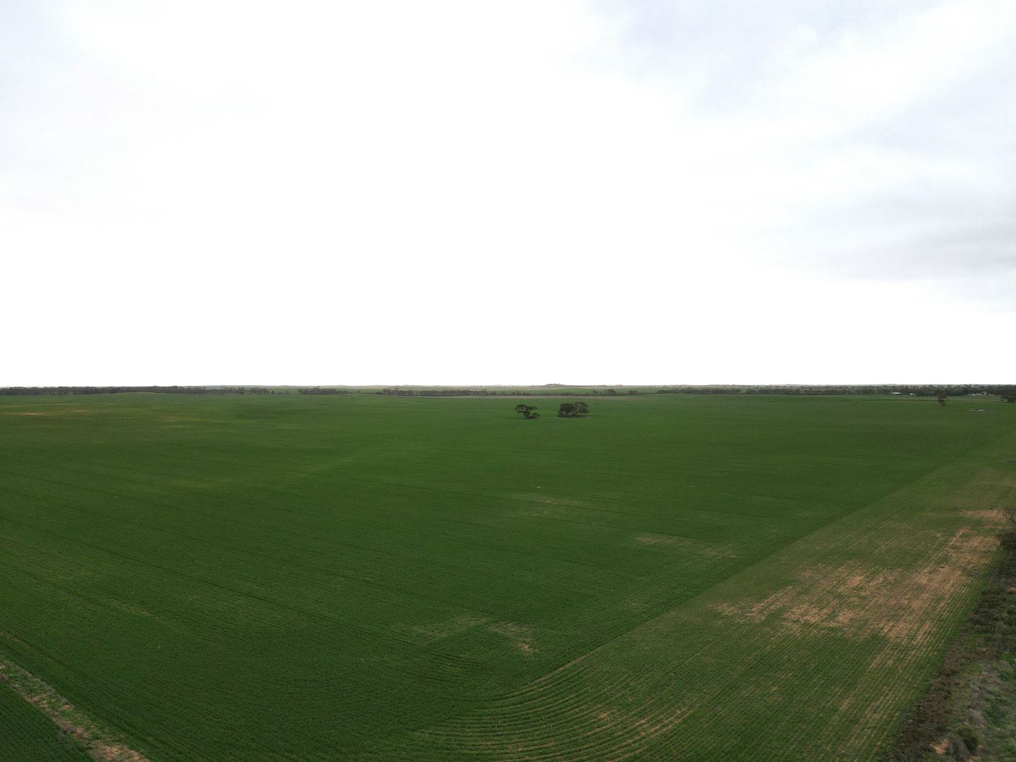 Lot 99 Spencer Highway, Clements Gap SA 5523 - House for Sale - $3,100,000