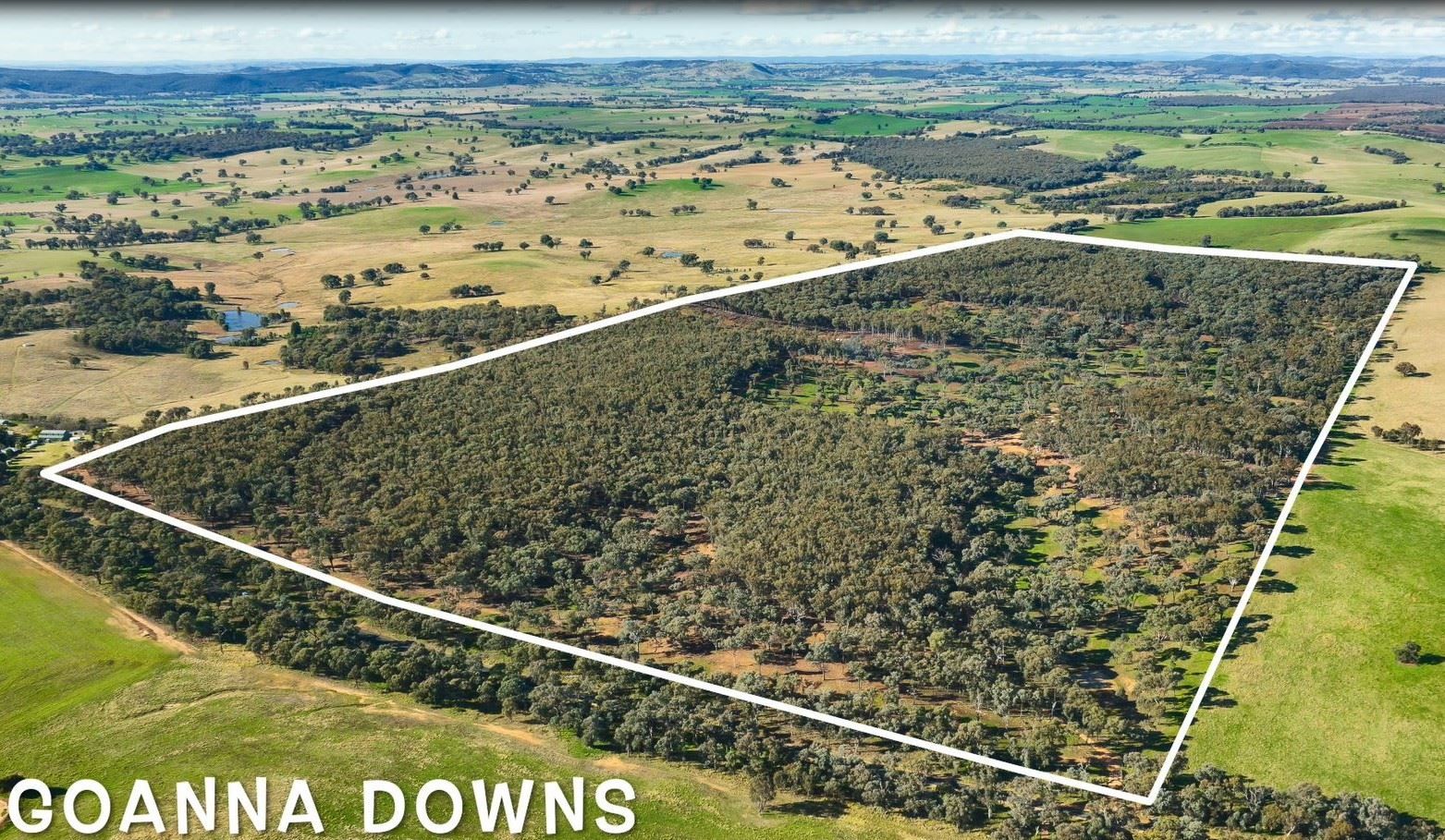 . Holbrook Wagga Road, Cookardinia NSW 2650 - House for Sale | Domain