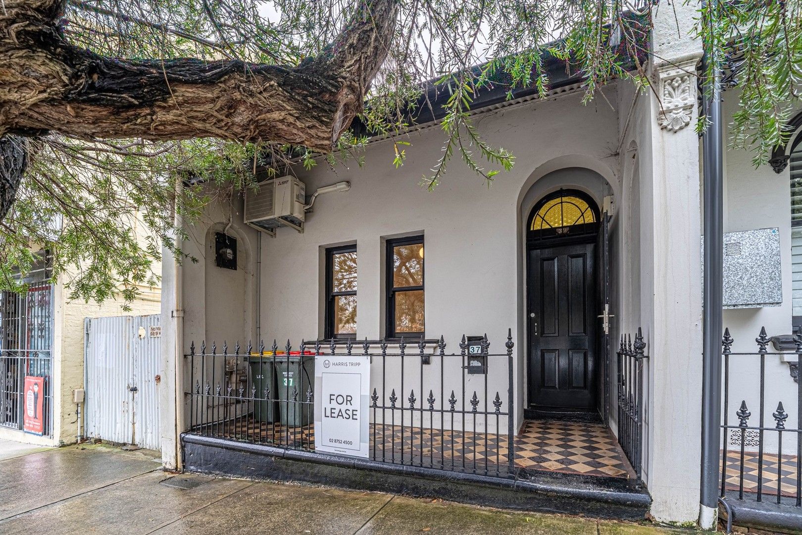 37 Collins Street, Annandale NSW 2038 - Terrace For Rent | Domain