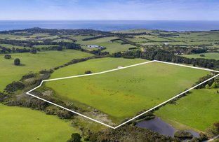 Holly Longmuir | RT Edgar Flinders | Real Estate Agent in 52 Cook ...