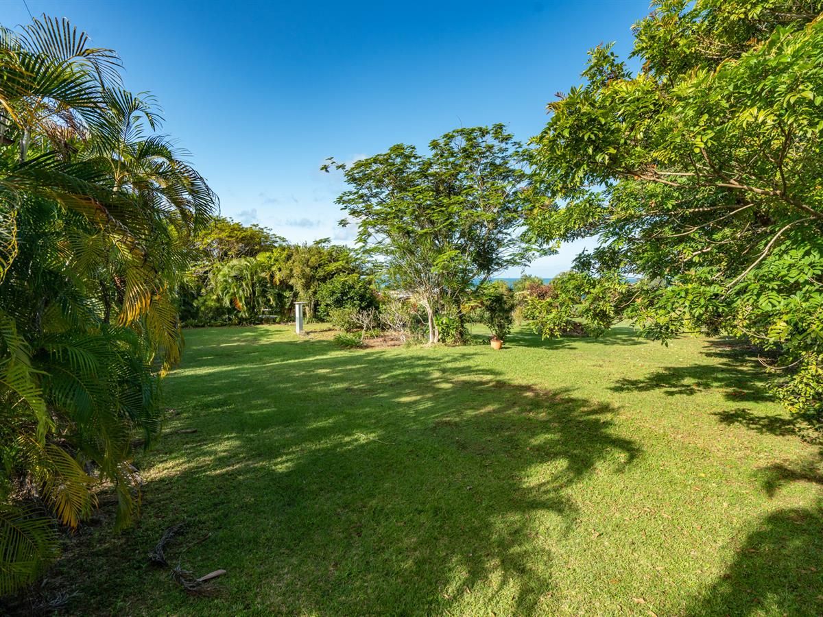 12 Cutten Street, Bingil Bay QLD 4852 | Domain