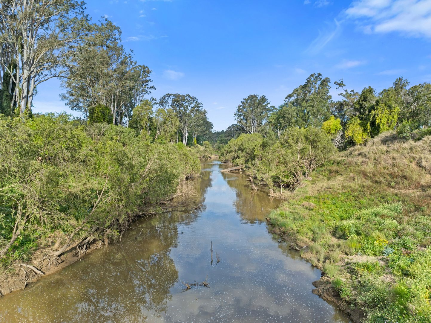 103 Couldery Court, Cedar Grove QLD 4285 | Domain