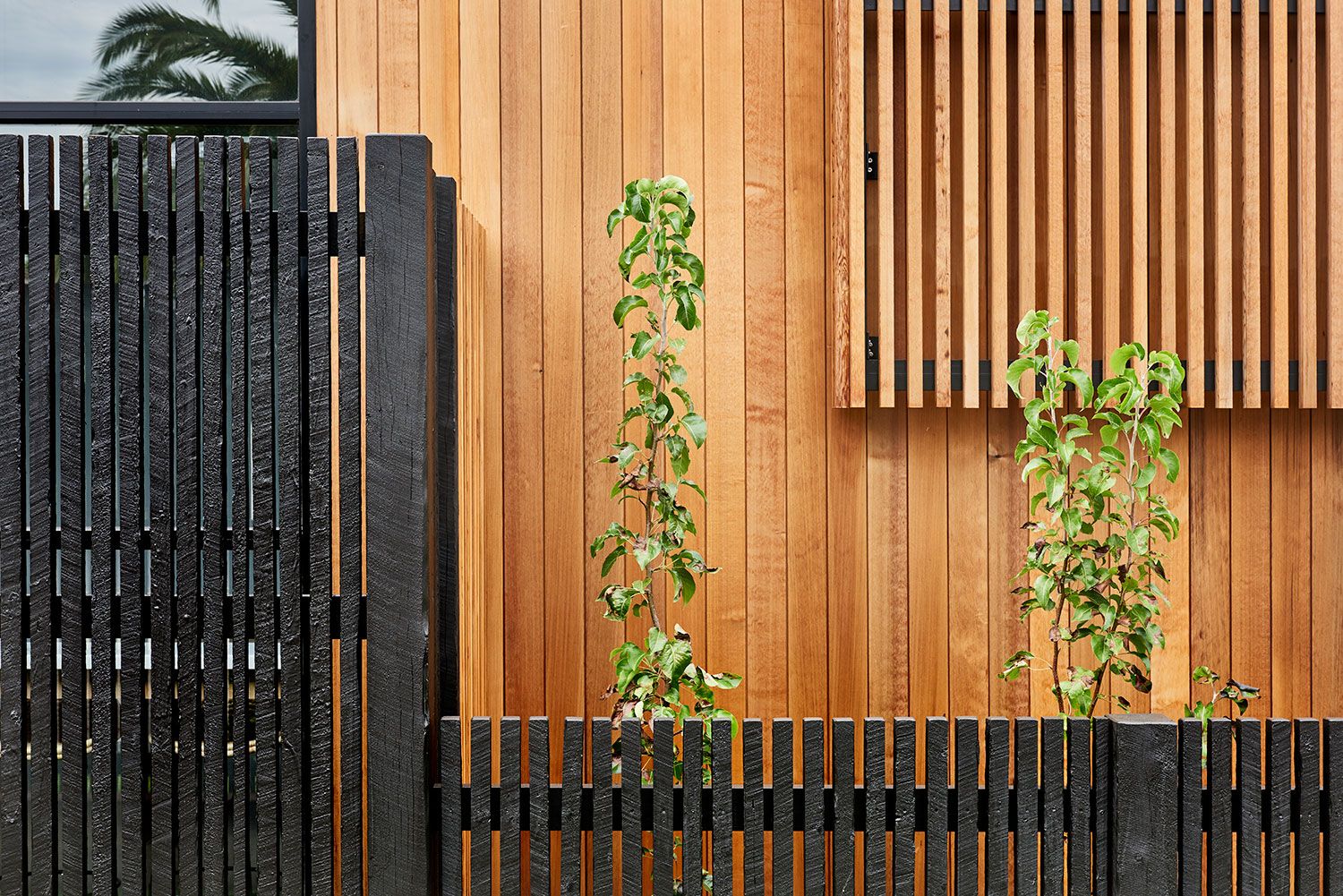 1 Winter Street, East Geelong VIC 3219 - House For Rent - $825 | Domain