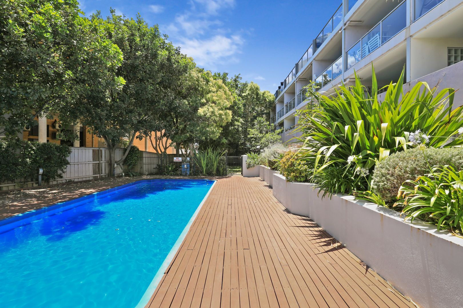 24/62-72 BOTANY RD, Alexandria NSW 2015 - Apartment For Rent - $800 ...