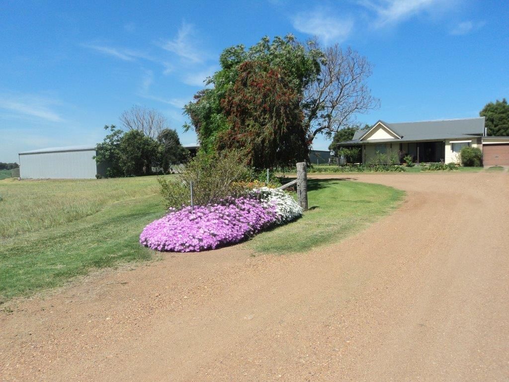 130 White Falls Lane, Whittingham | Property History & Address Research ...