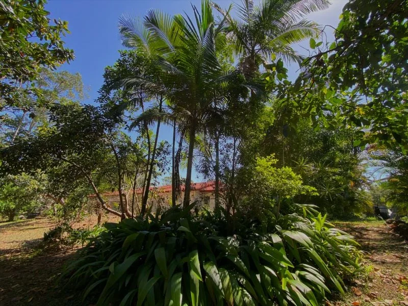 West Woombye QLD 4559 - House for Rent | Domain