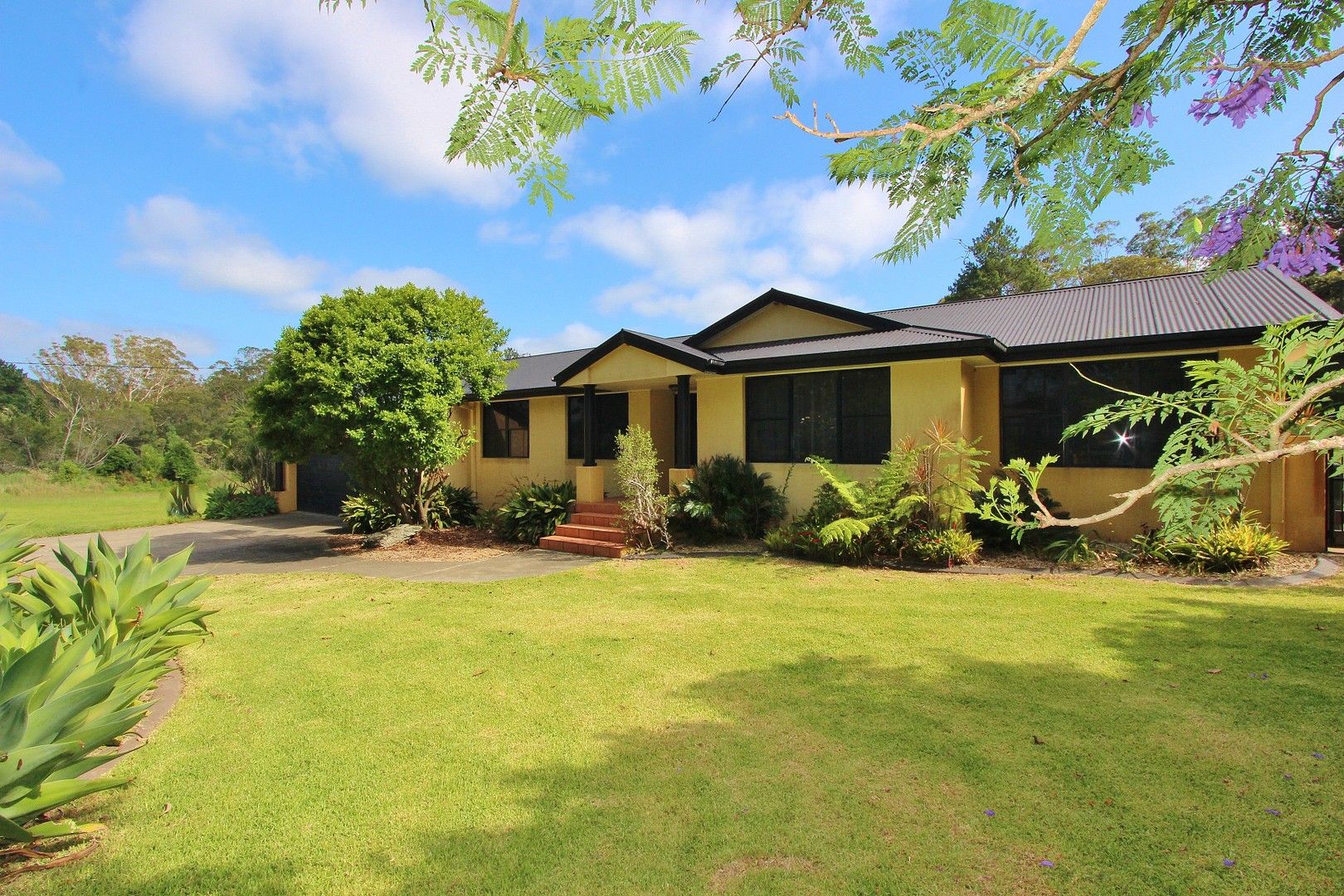 139 Ocean Drive, Kew NSW 2439 | Domain