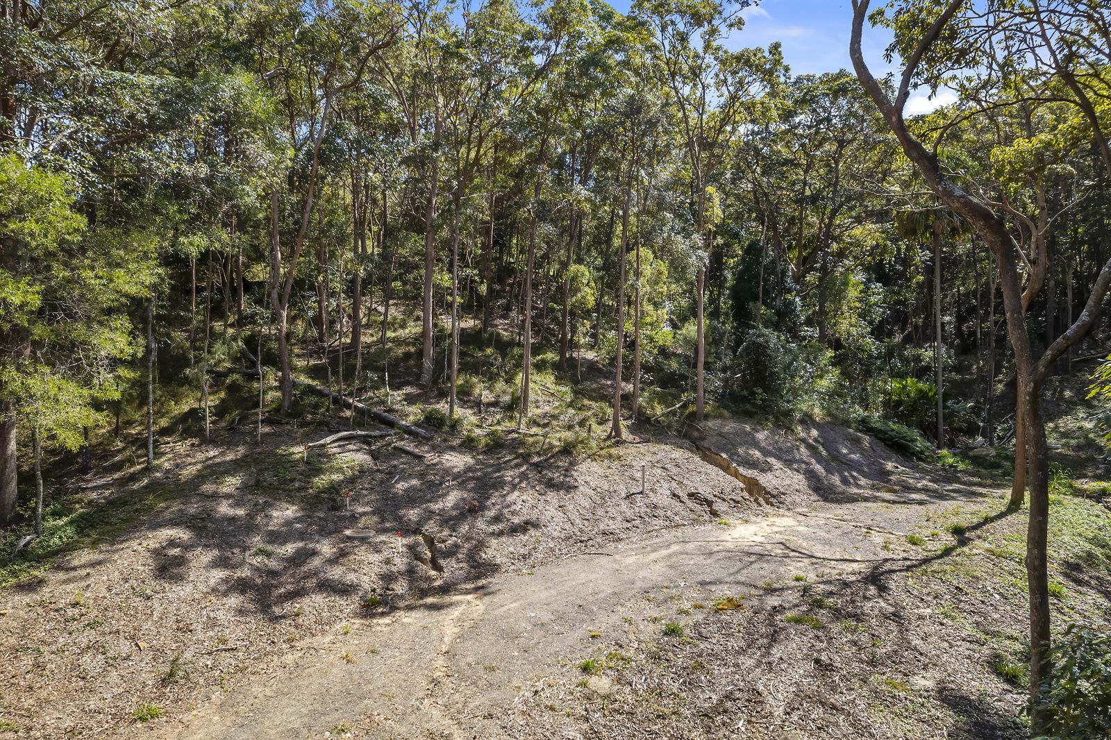 900, Hotspur Crescent, Little Mountain QLD 4551 | Domain