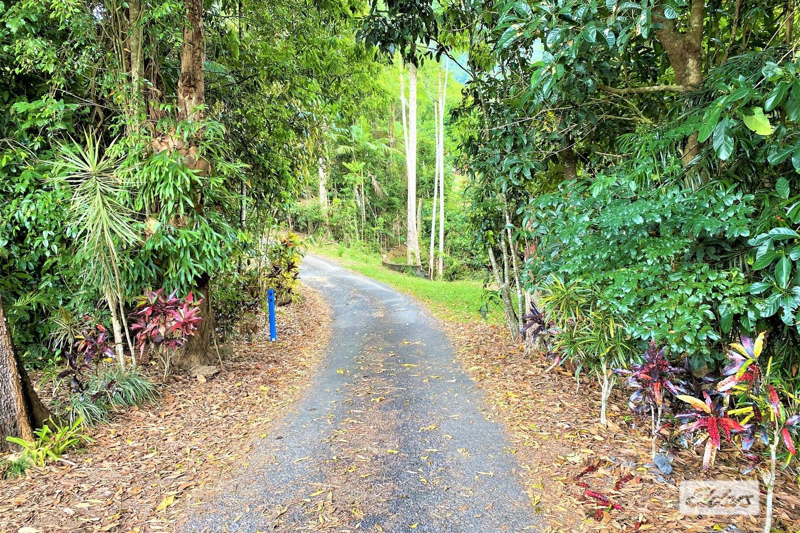 3 Bamber Street, Tully QLD 4854 | Domain