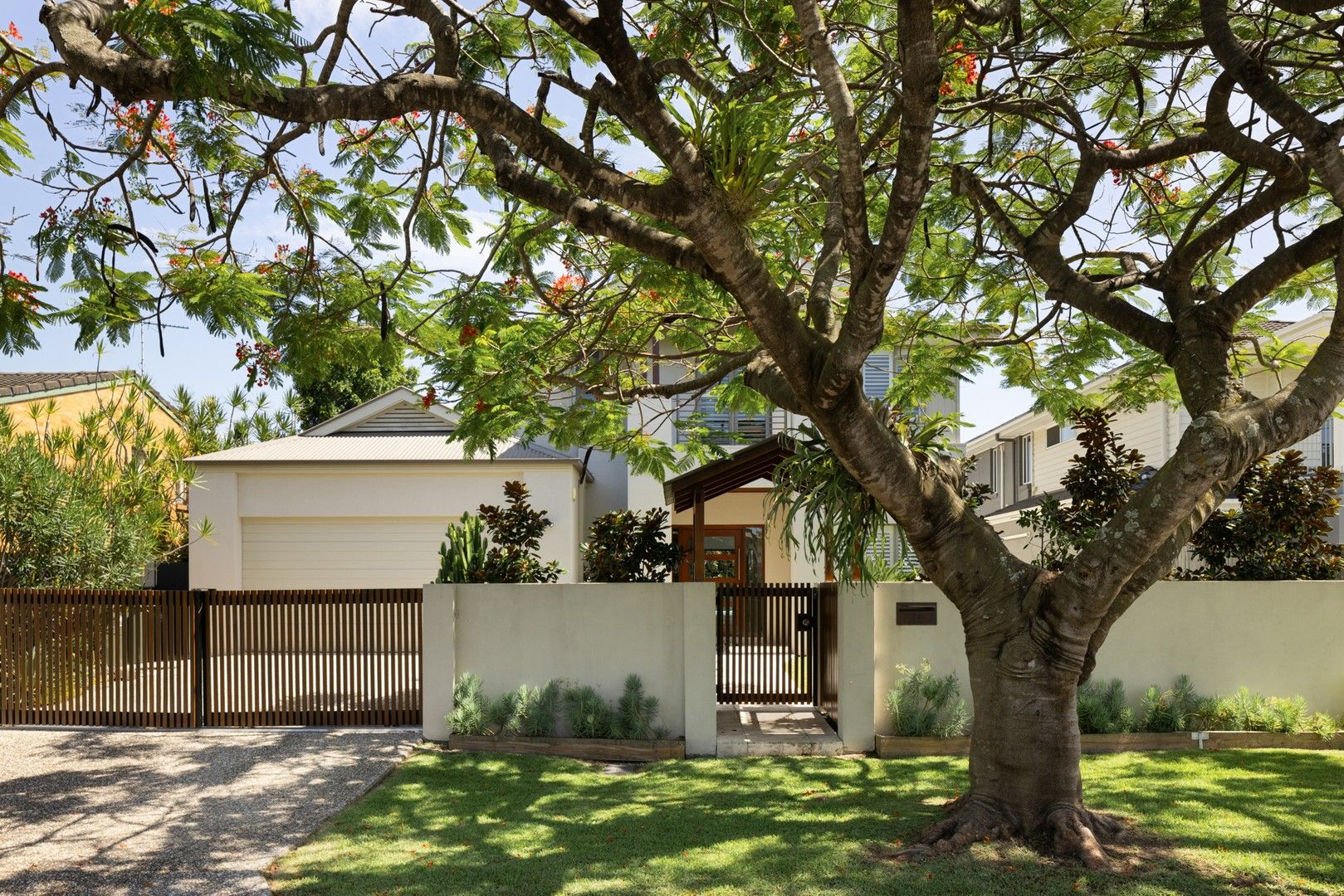 24 Harding Street, Hendra QLD 4011 | Domain