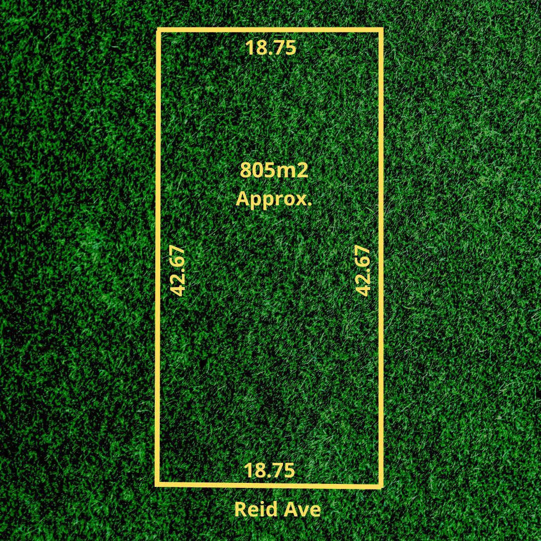 72 Reid Avenue, Tranmere SA 5073 | Domain