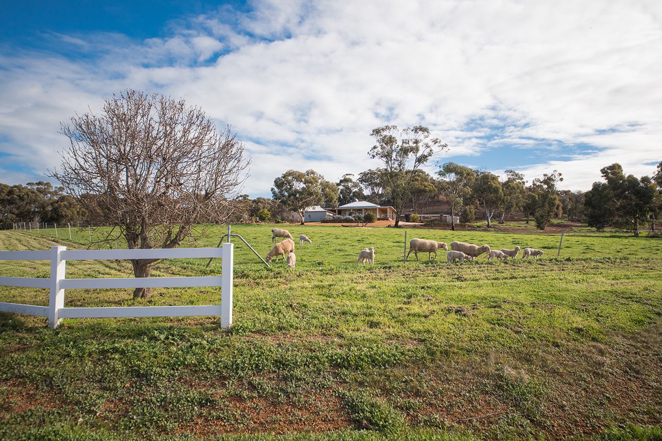 3118 Wandering-Narrogin Road, Cuballin | Property History & Address ...