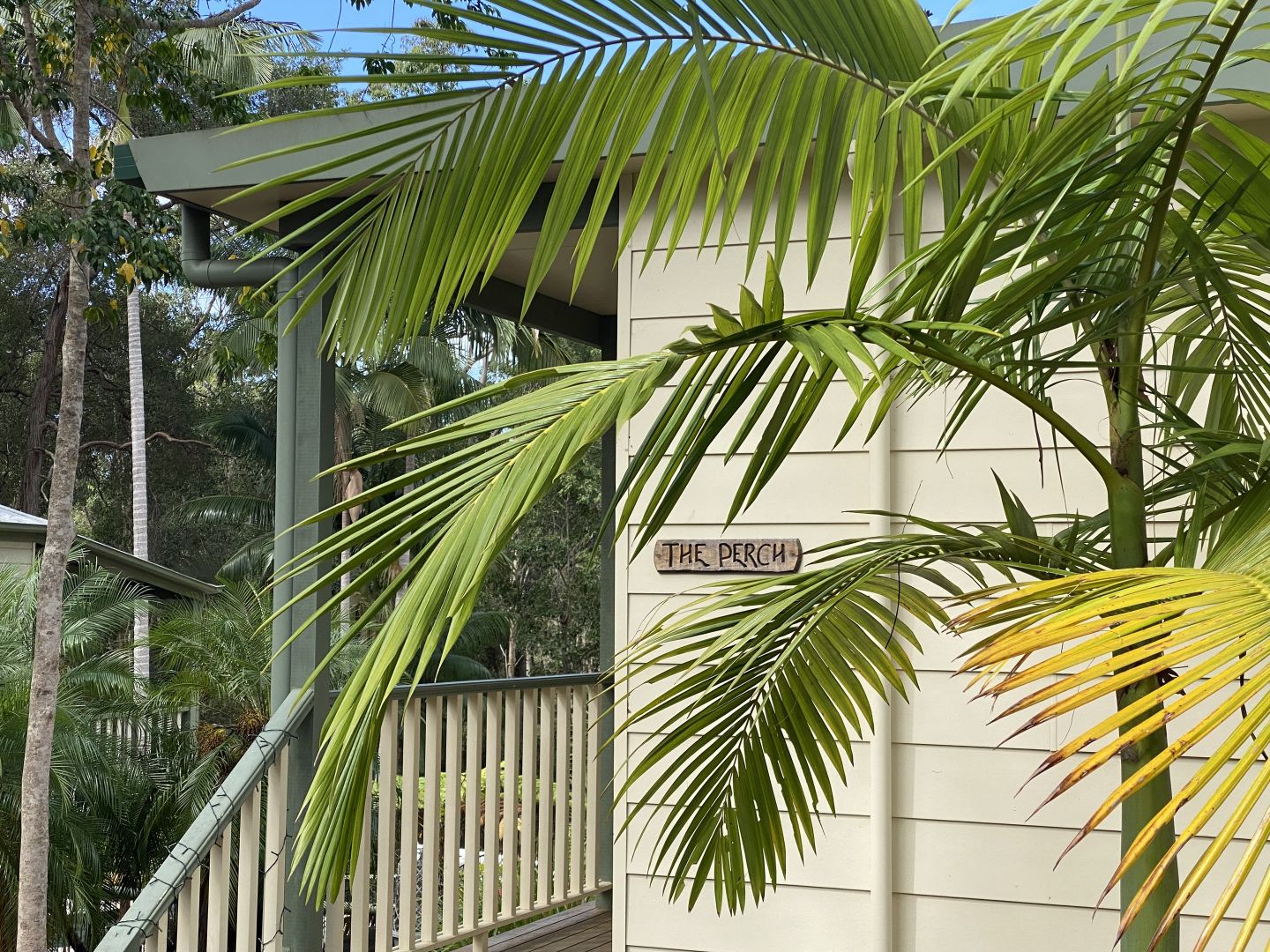 14a Morrell Ct, Doonan QLD 4562 - Apartment For Rent | Domain