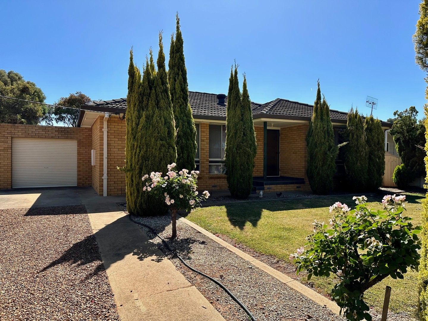 56 Leaver Street, Yenda NSW 2681 - House For Rent - $420 | Domain