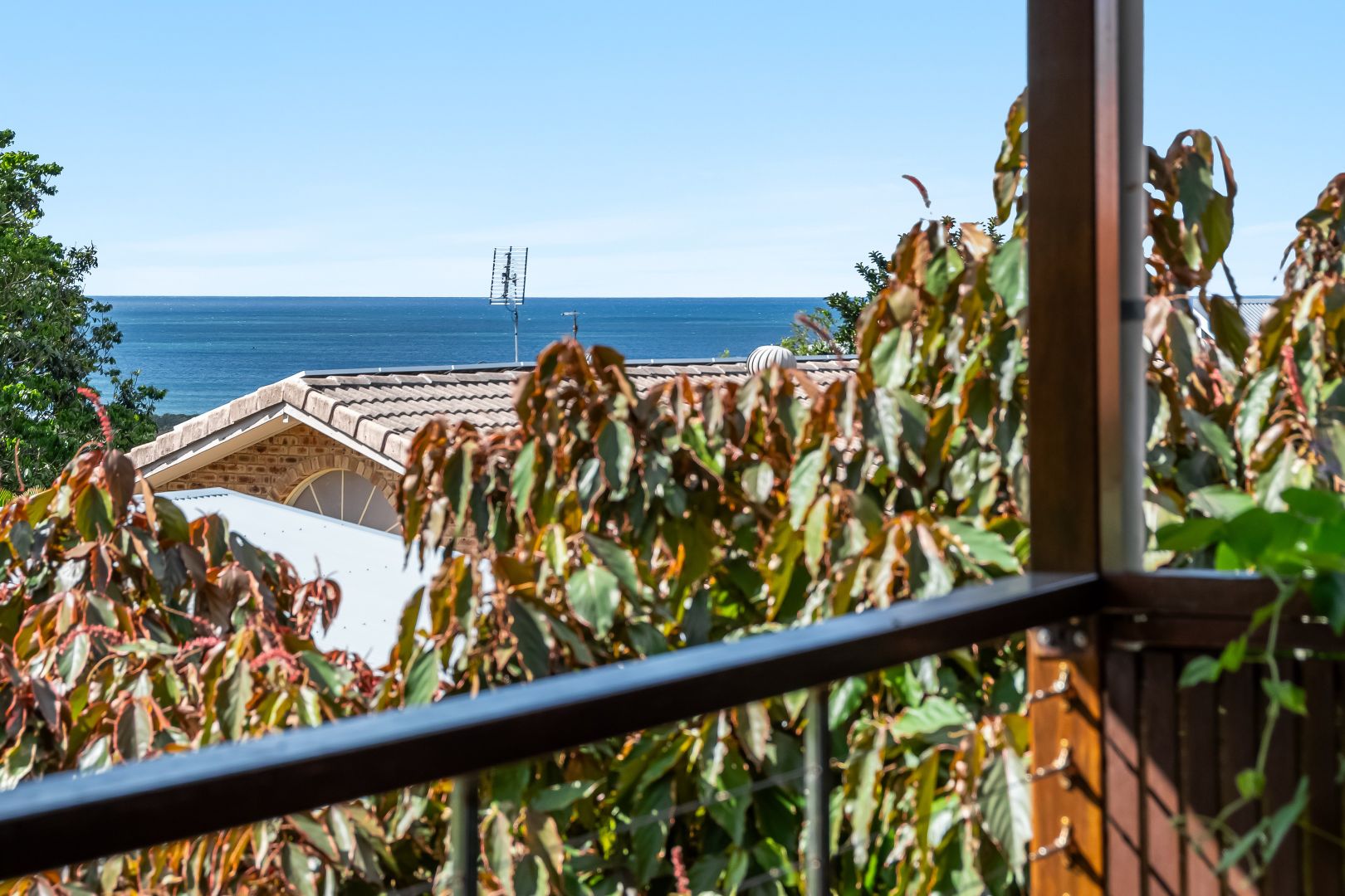 7 Harah Court, Ocean Shores NSW 2483 | Domain