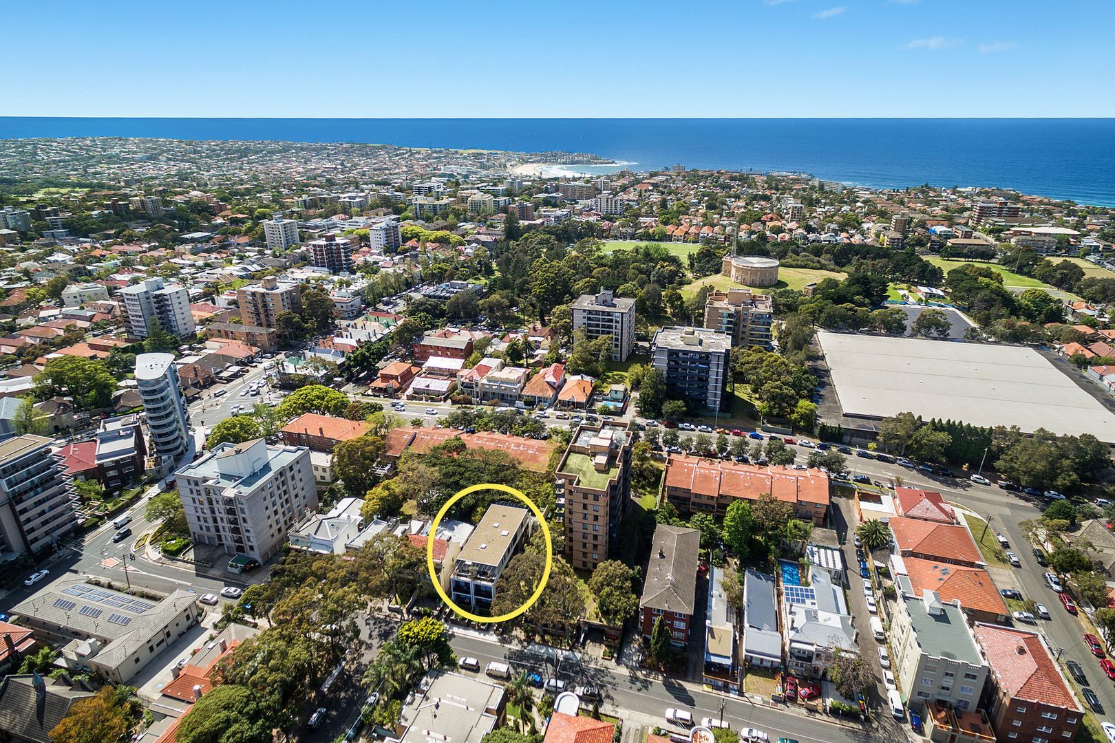 6/14 Botany Street, Bondi Junction NSW 2022 - Studio For Rent | Domain