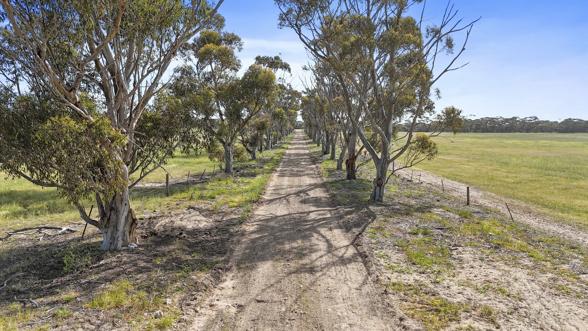 4910 Mallee Highway, Peake SA 5301 - Farm for Sale | Domain