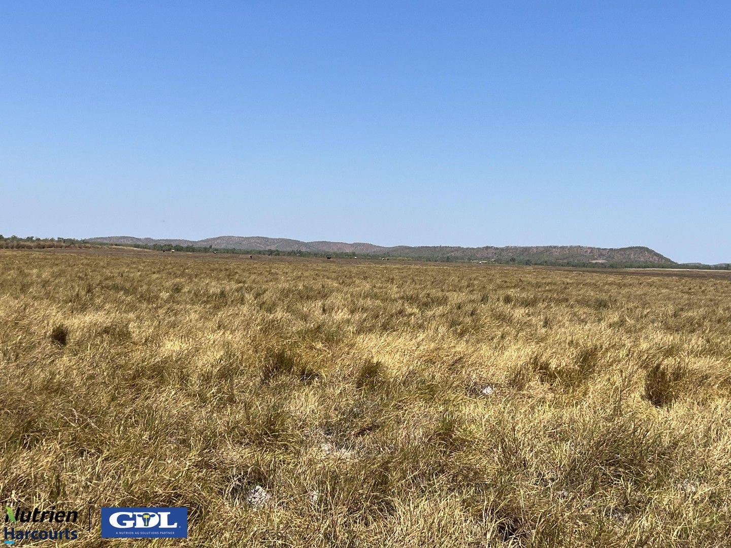 "Heaton Hill" Stuart Highway, Adelaide River NT 0846 - House for Sale ...