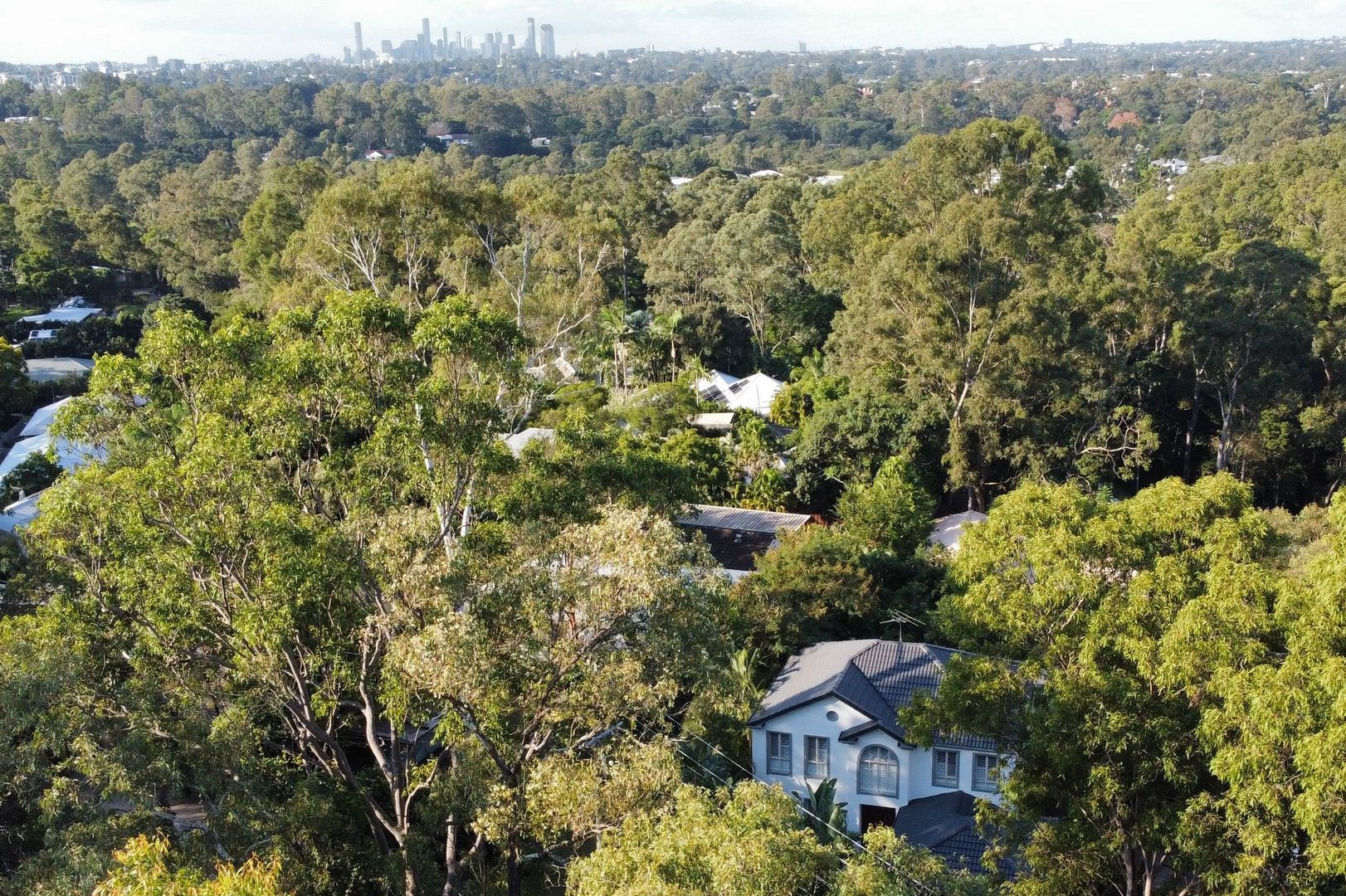 500 Fig Tree Pocket Road, Fig Tree Pocket QLD 4069 | Domain